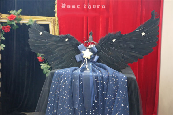 Night Starlight~ Wings Lolita Accessories