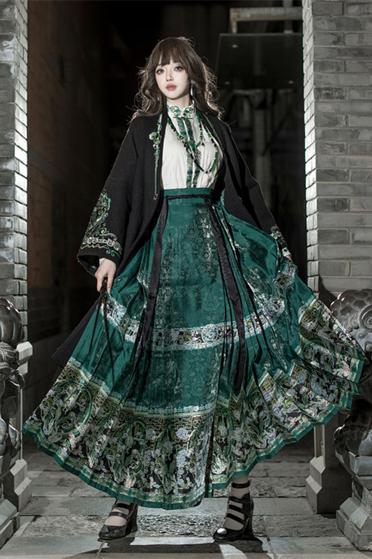 Magic Trainee Snake Theme Ming Hanfu Robe, Horse Face Skirt, Blouse and ...